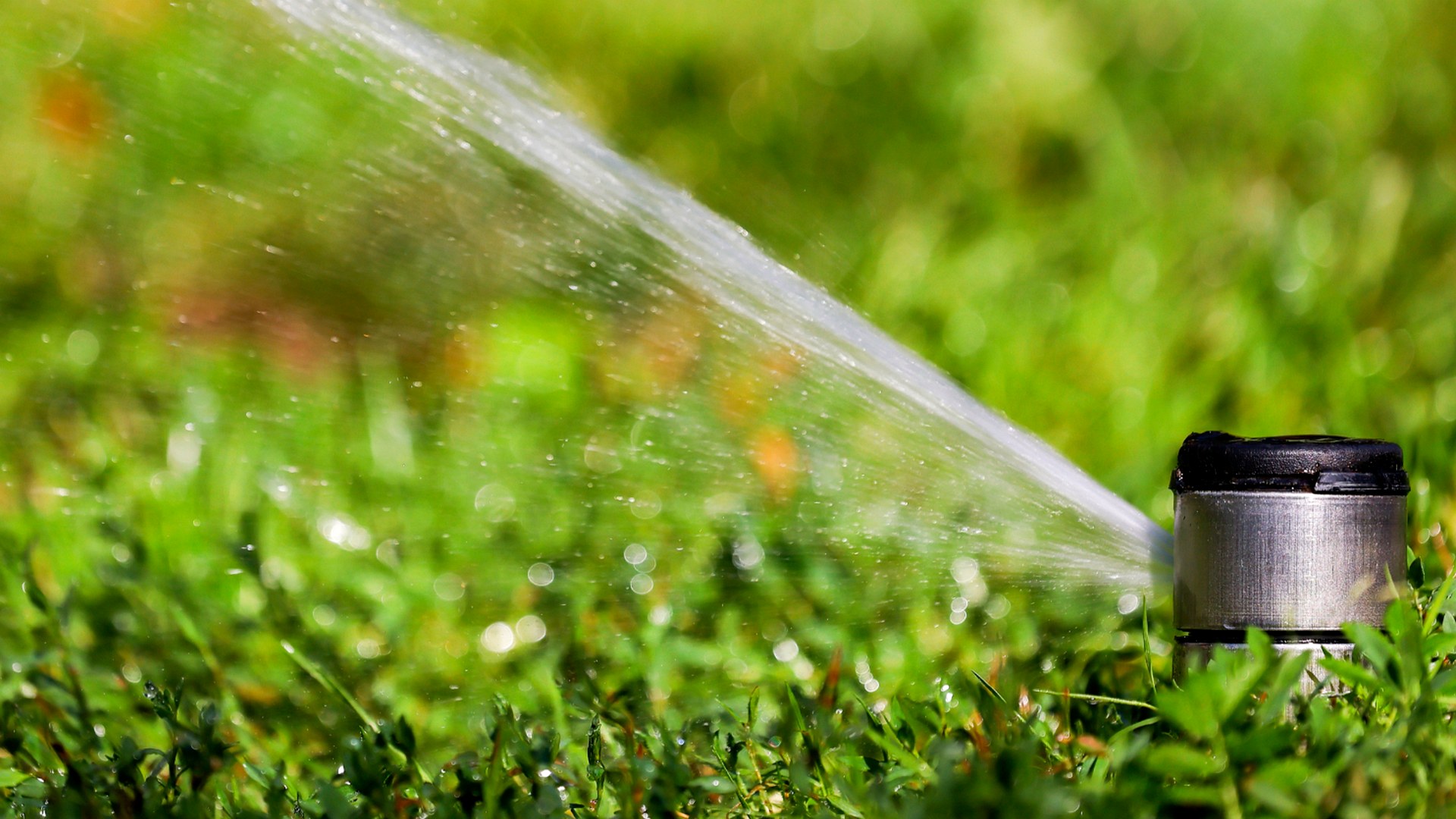 Austin Sprinkler Repair & Irrigation | Double Check Irrigation