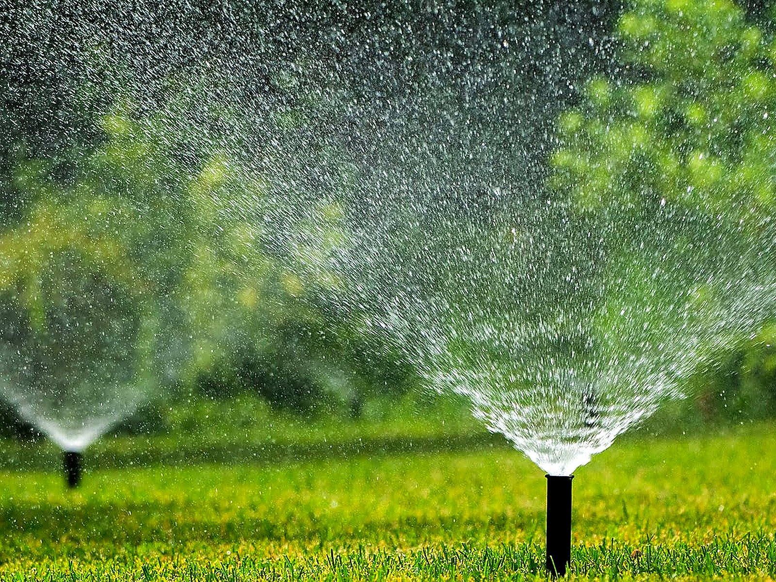 Austin Sprinkler Repair & Irrigation | Double Check Irrigation